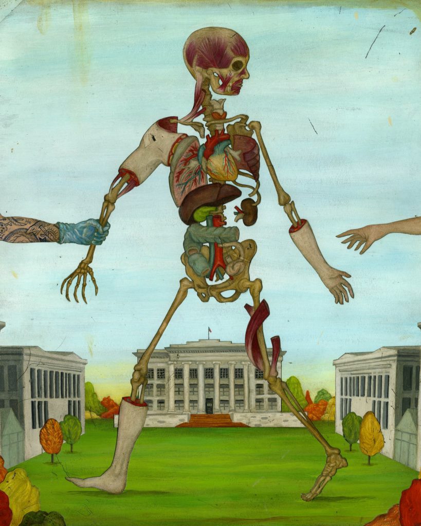 Their Bodies Were Donated to Harvard. Then They Went Missing - 3 Quarks ...