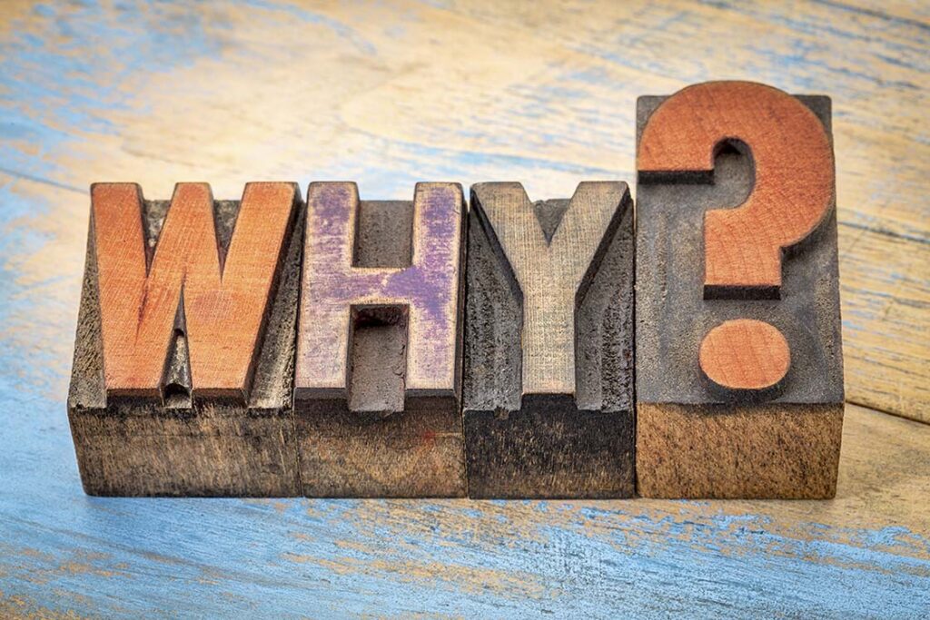 When and why ask why? - 3 Quarks Daily