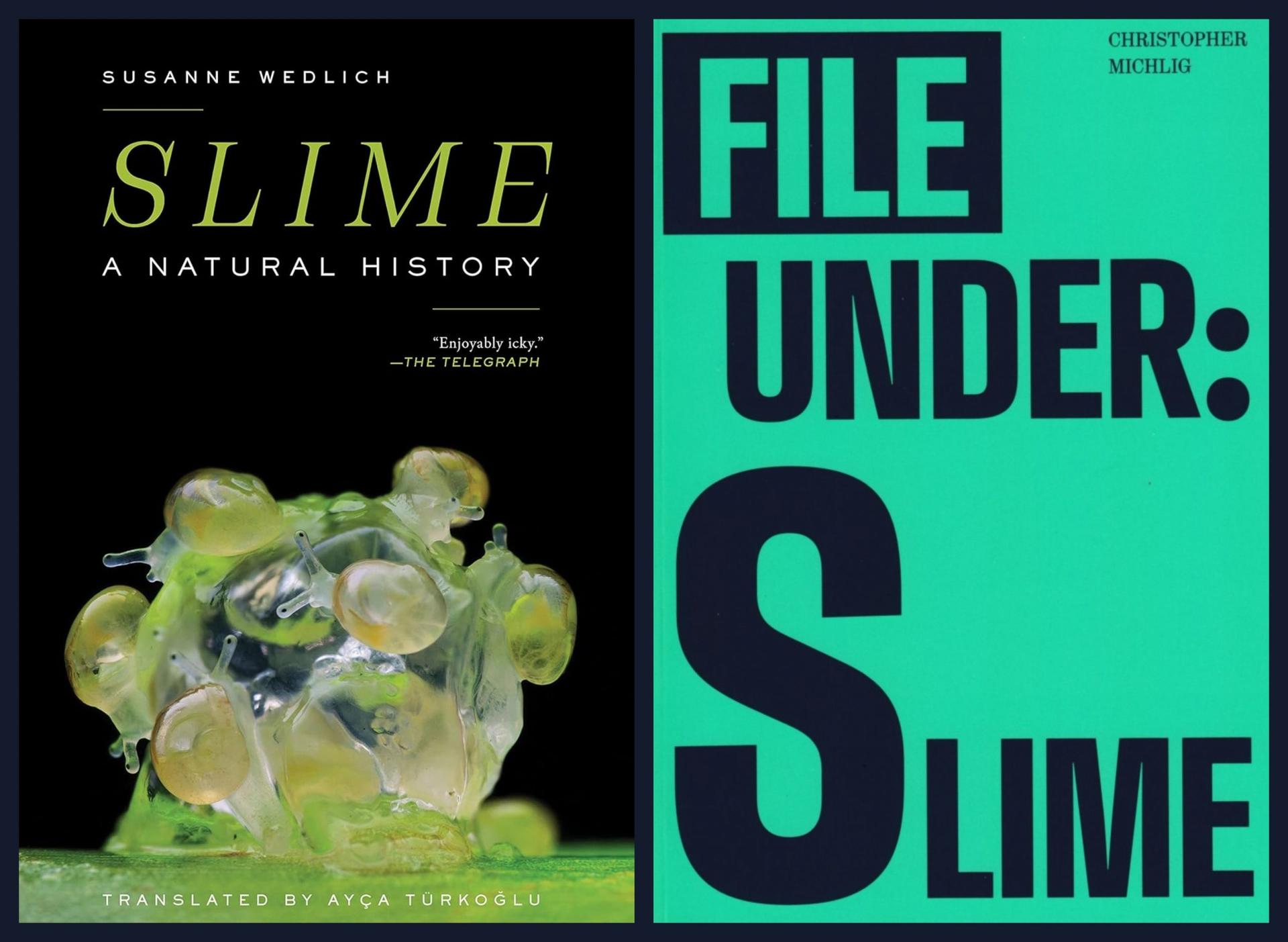 On Two New Books About Slime - 3 Quarks Daily
