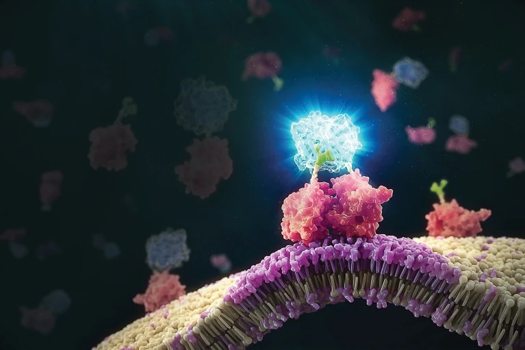 How to monitor cell health in real-time - 3 Quarks Daily