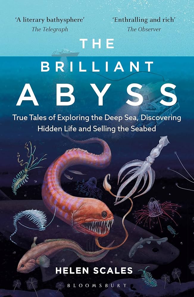 Cautious Optimism in Helen Scales' 'What the Wild Sea Can Be: The ...