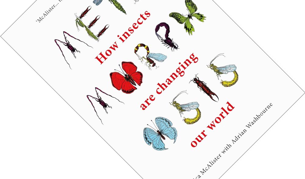 Metamorphosis: How Insects Are Changing Our World - 3 Quarks Daily