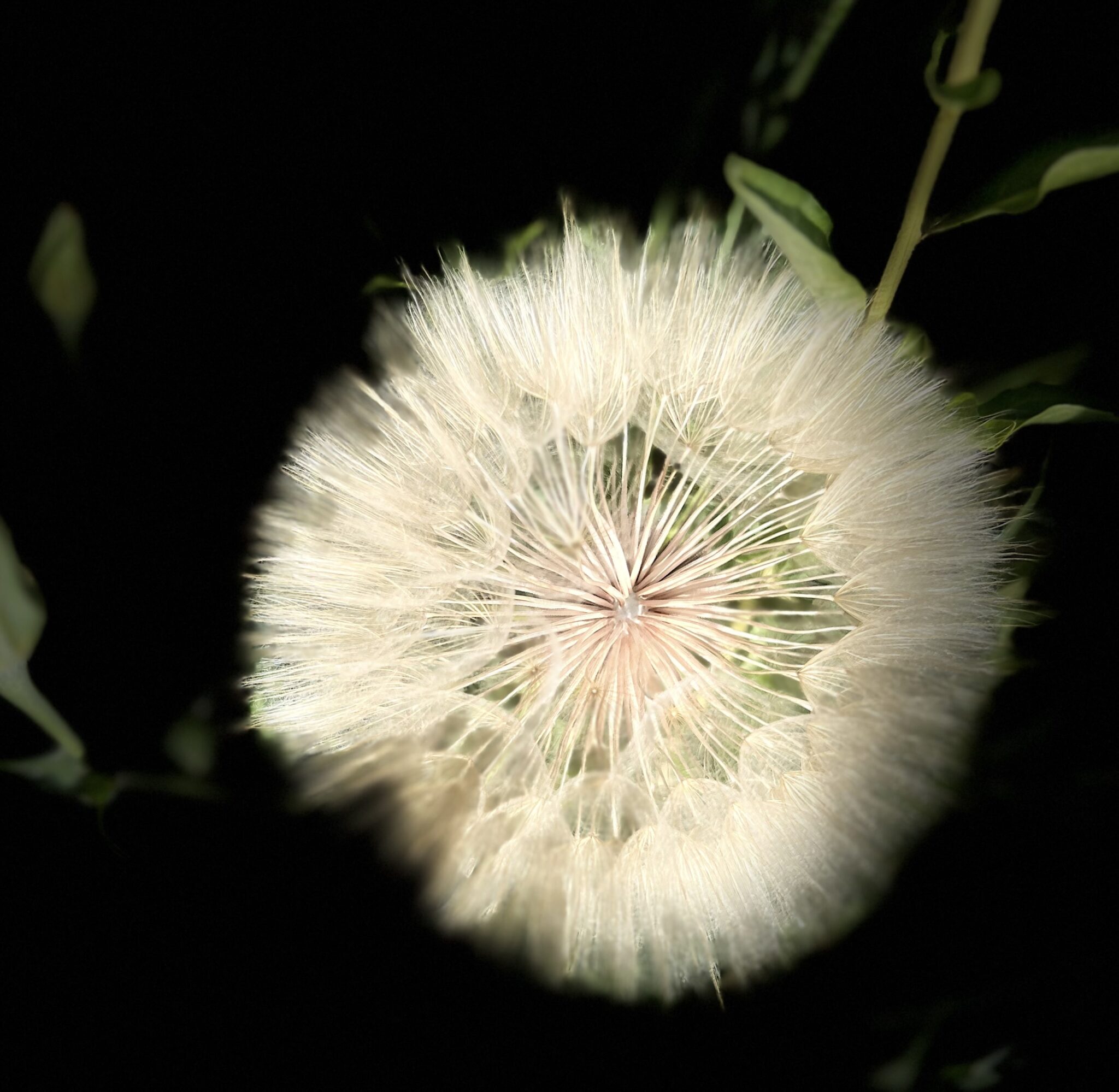Lithium Mines and Flowers - 3 Quarks Daily