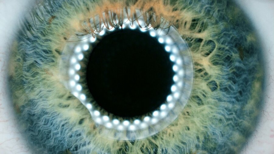 The Clinically Blind See Again With an Implant the Size of a Grain of ...