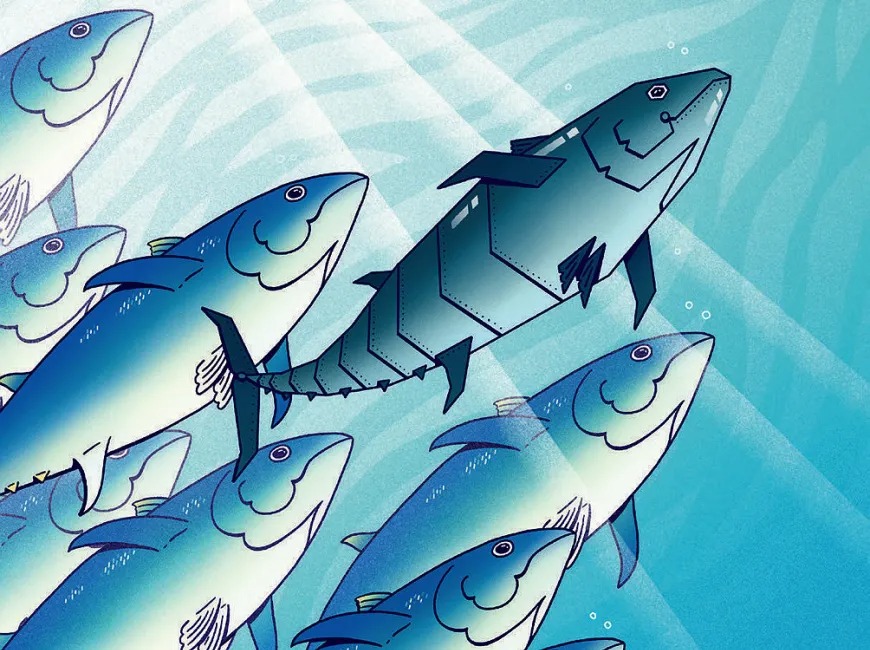 What Makes Fish Fast? - 3 Quarks Daily