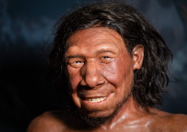 Are you a morning person? You may be a Neanderthal descendant - 3 Quarks Daily