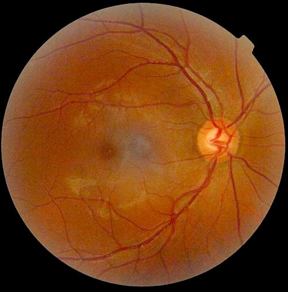 Peripheral Visions - 3 Quarks Daily