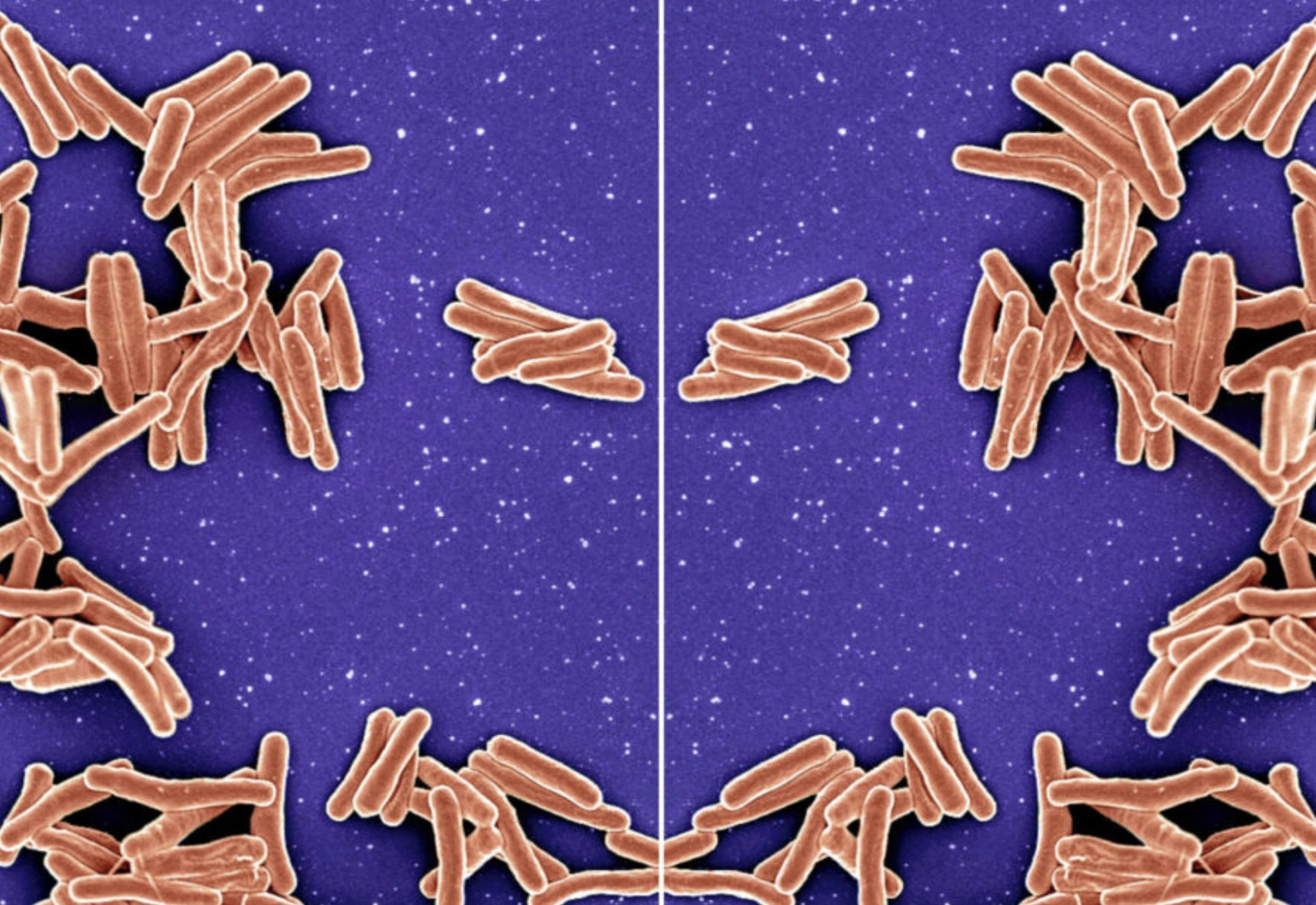 Reflecting on the Risks of ‘Mirror Life’ - 3 Quarks Daily