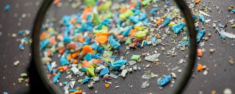 Microplastics Build Up in Human Organs, Especially the Brain - 3 Quarks ...
