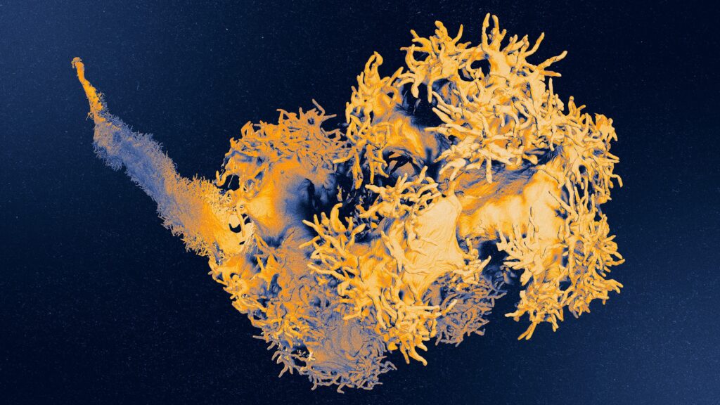 David Ginty has spent his career cataloging the neurons beneath ...
