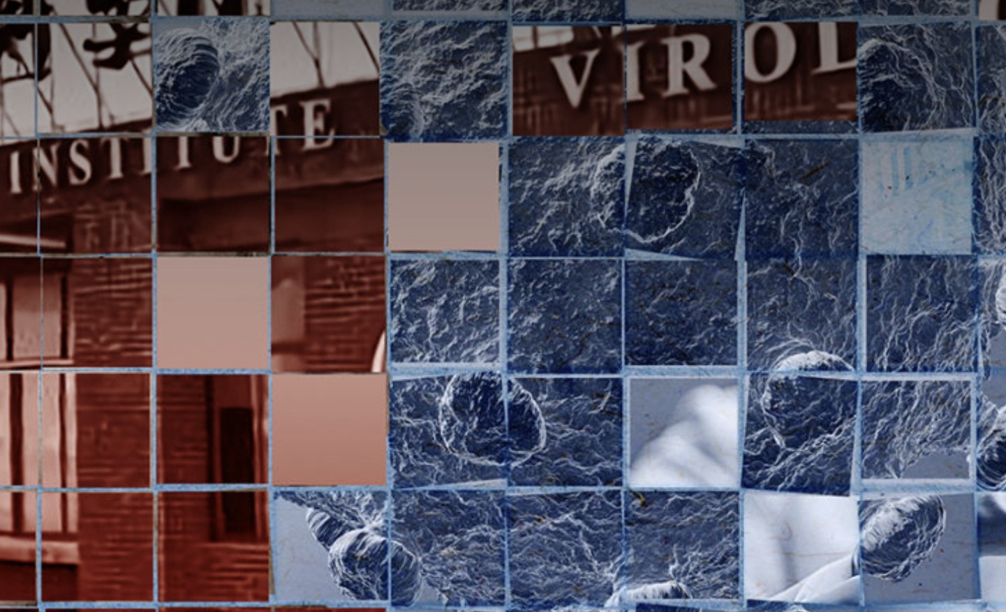 How Virologists Lost the Gain-of-Function Debate - 3 Quarks Daily