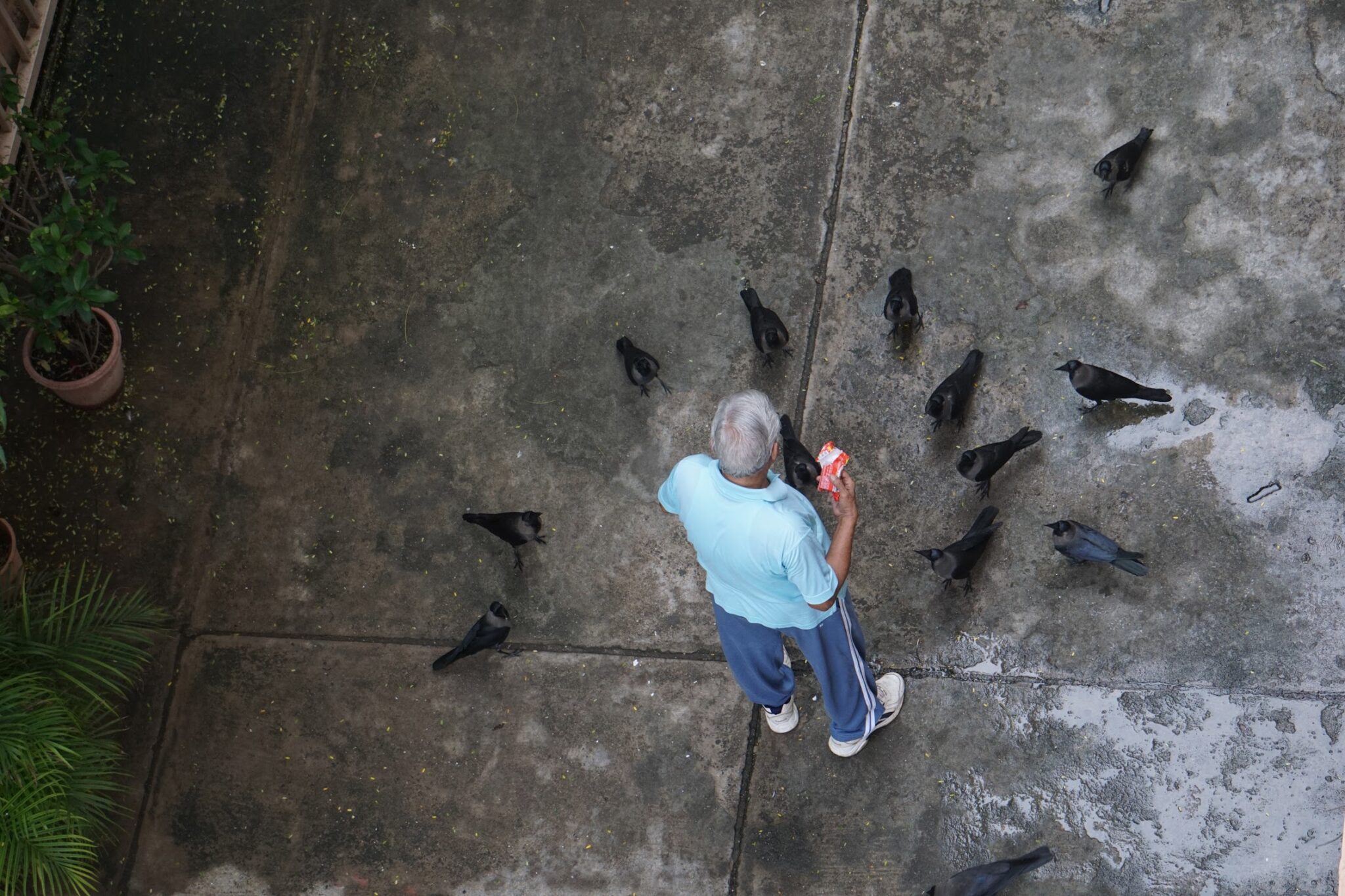 I Understand You've Been Running From the Man - 3 Quarks Daily