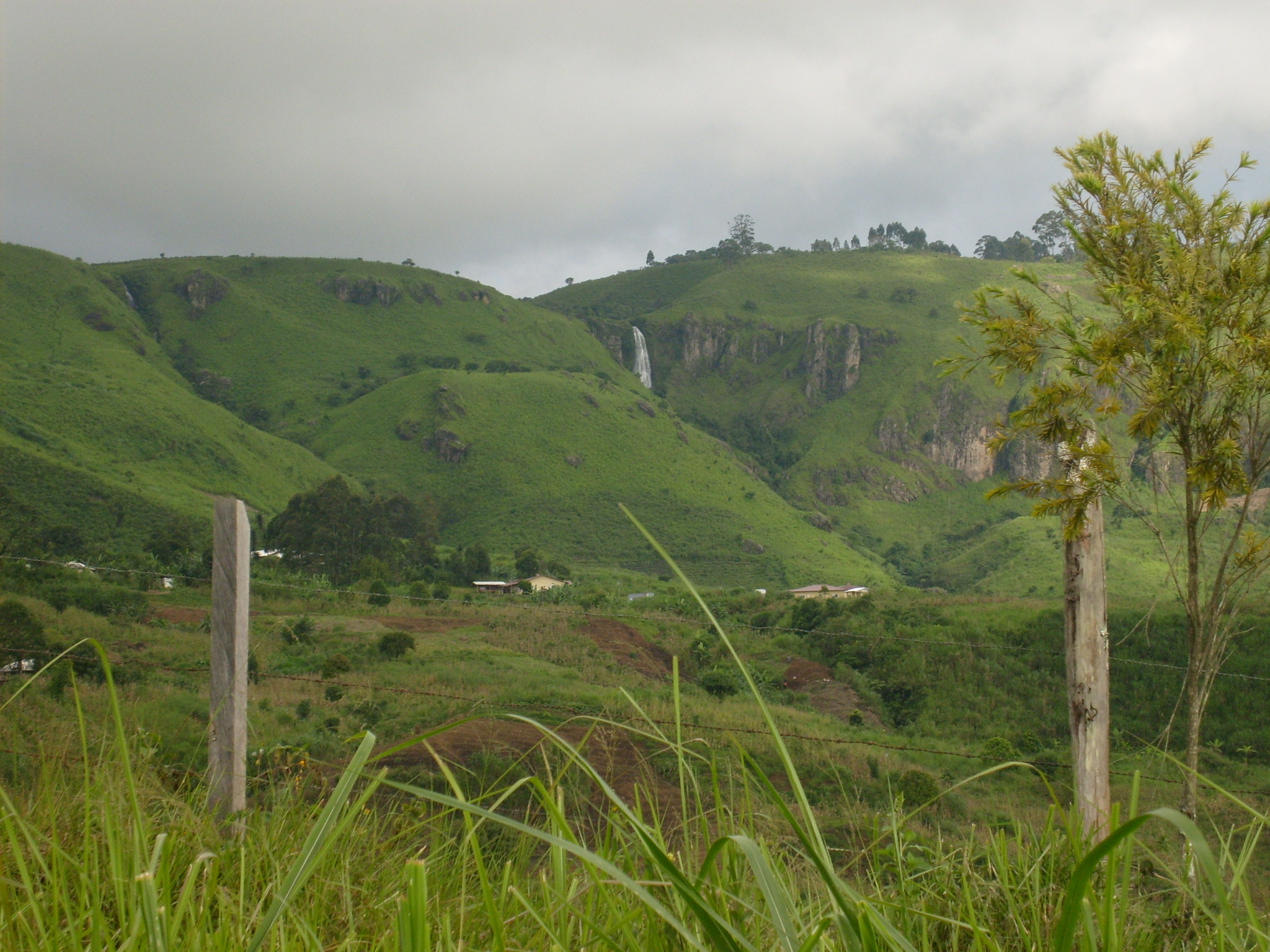 Spider Divination In Cameroon - 3 Quarks Daily