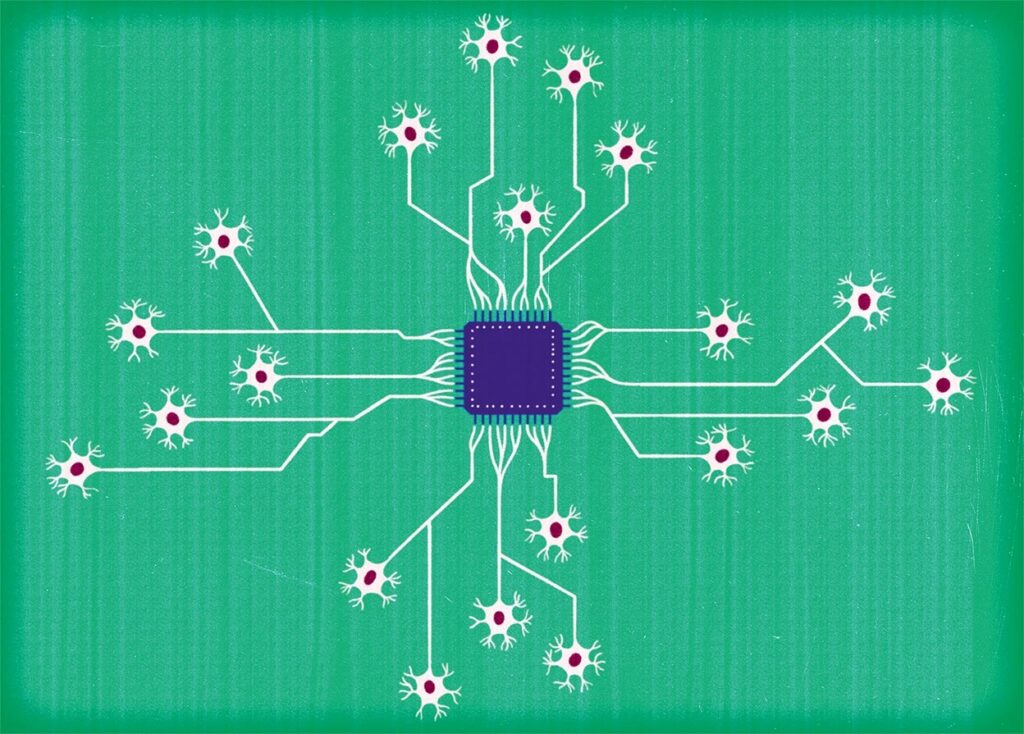 The computers that run on human brain cells - 3 Quarks Daily