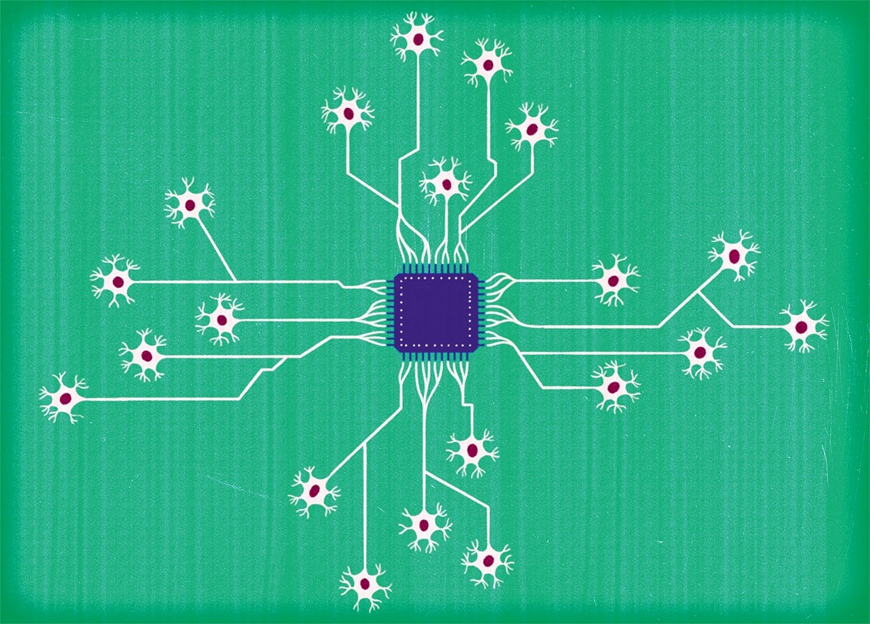 The computers that run on human brain cells - 3 Quarks Daily