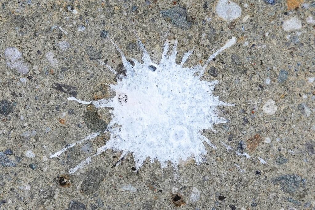 This Week's Photograph - 3 Quarks Daily