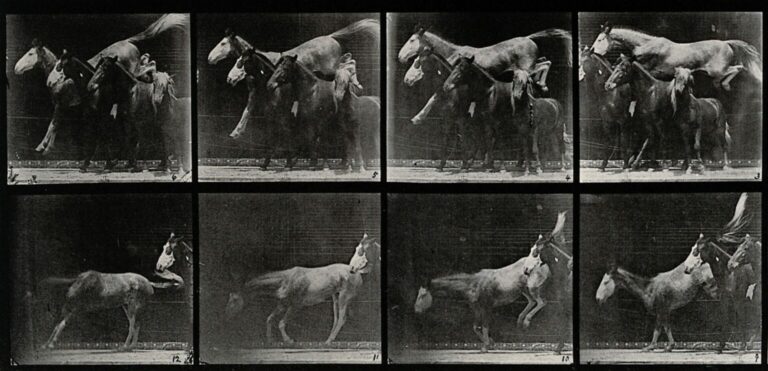 Three Horses - 3 Quarks Daily